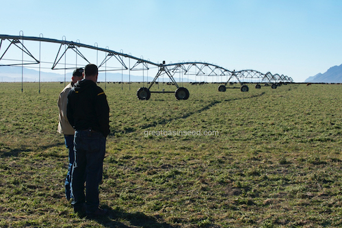 Establishing Pastures: A Common Sense Approach - Countryside